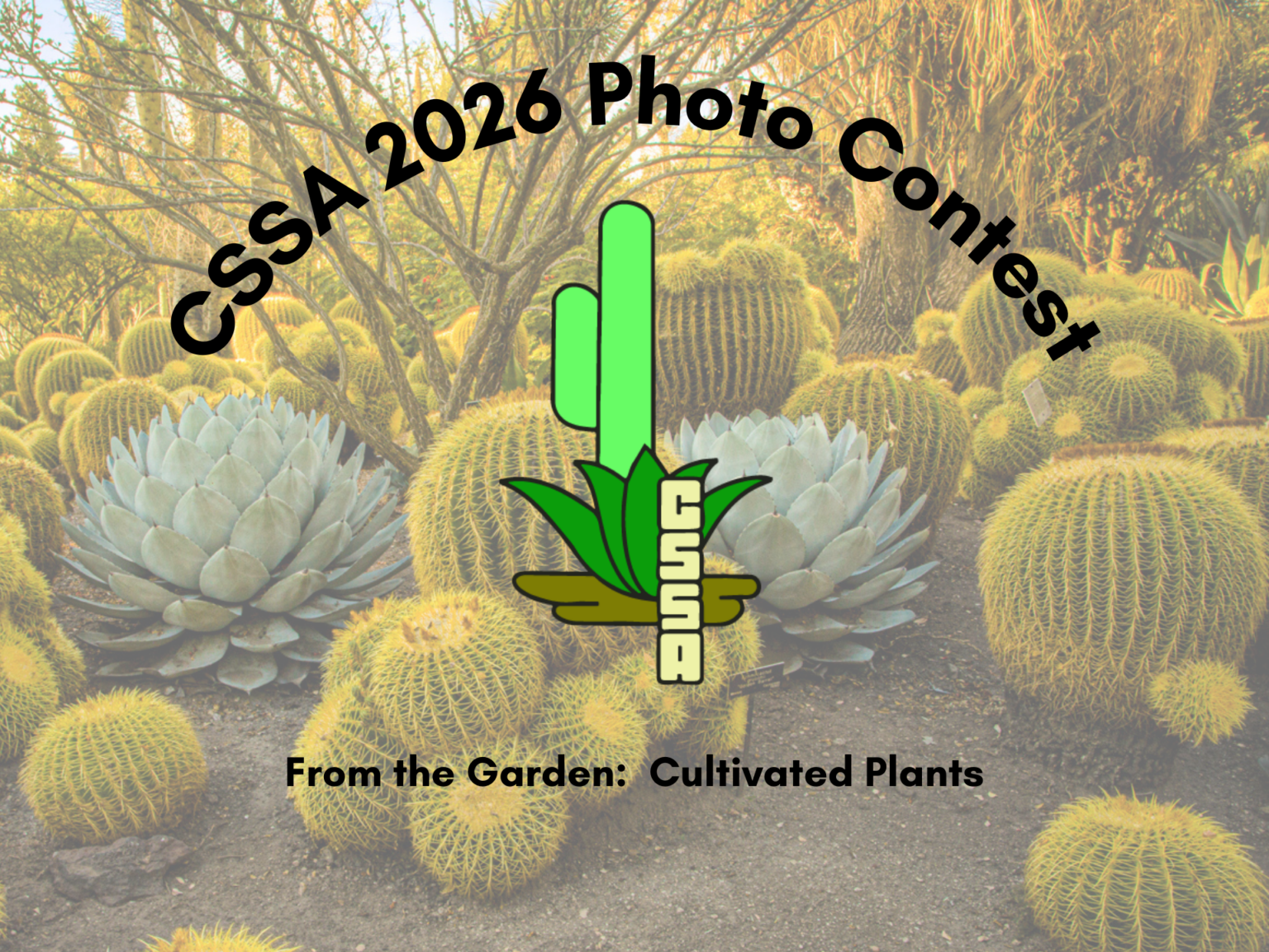 2026 Photo Contest: From the Garden: Cultivated Plants – Cactus ...